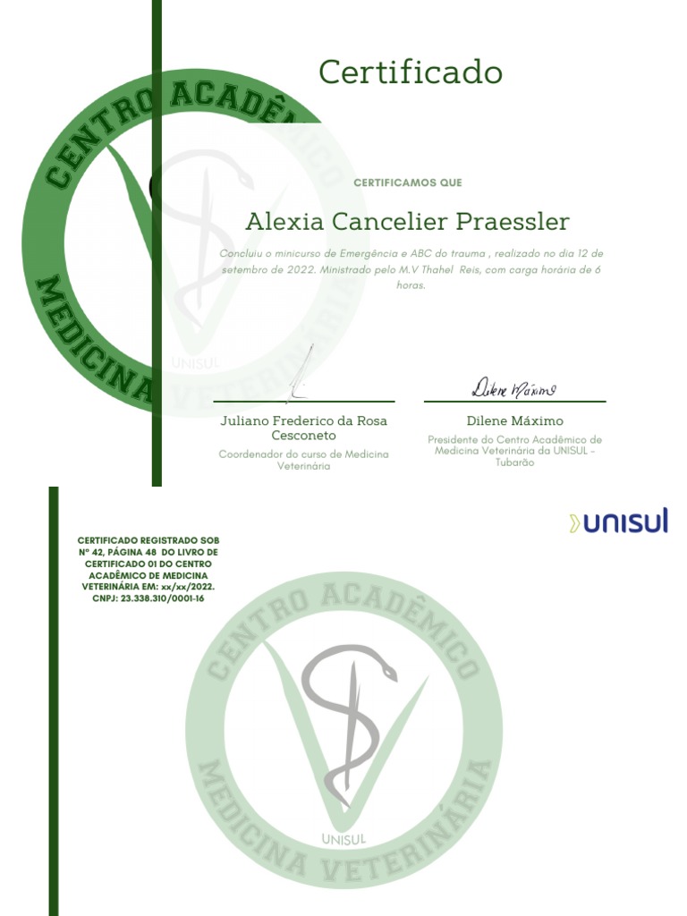 Certificado Minicurso Alexia PDF | PDF