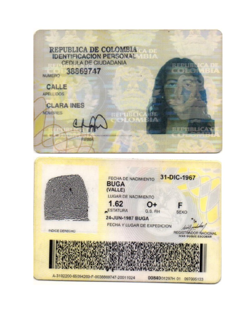 Cedulas (1).docx | PDF