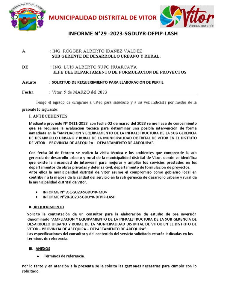 INFORME 029 - REQUERIMIENTO Ioarr | PDF