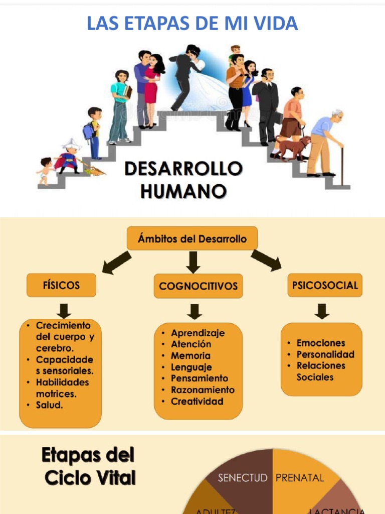 1 Las Etapas de Mi Vida | PDF | Hogar, jardinería y bricolaje