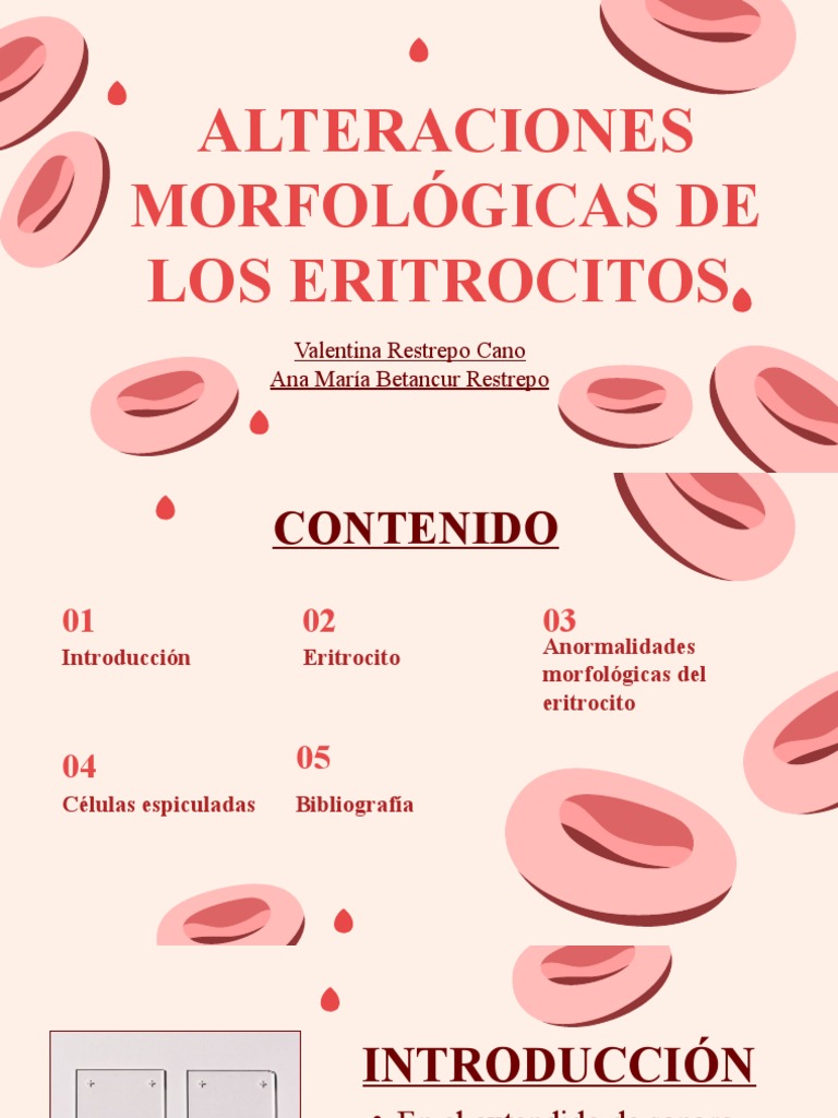 Anormalidades Morfológicas Del Eritrocit - o | PDF | Glóbulo rojo | Sangre