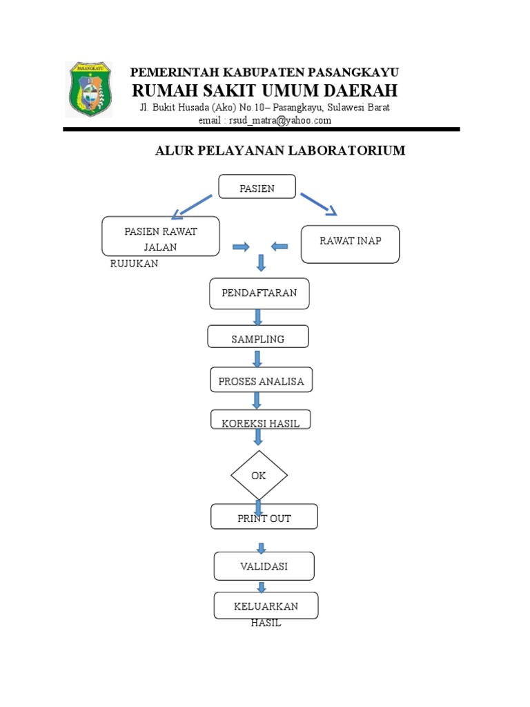 Alur Pelayanan Lab Rsud | PDF