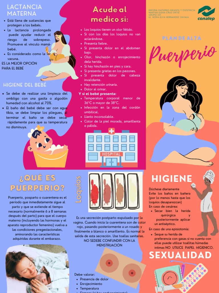 Puerperio Triptico PDF | PDF | Periodo posparto | Parto