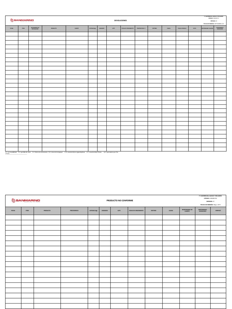 02SQR-F01 Formato Devoluciones | PDF
