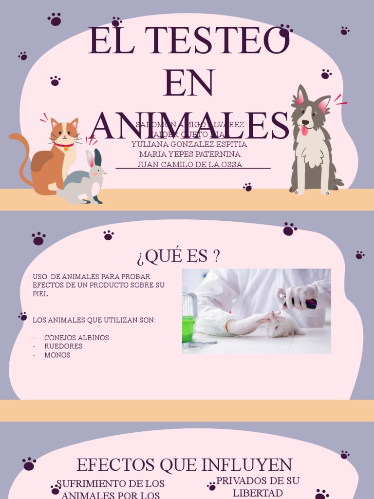 Testeo en Animales | PDF | Especialidades Medicas | Cuidado de la salud