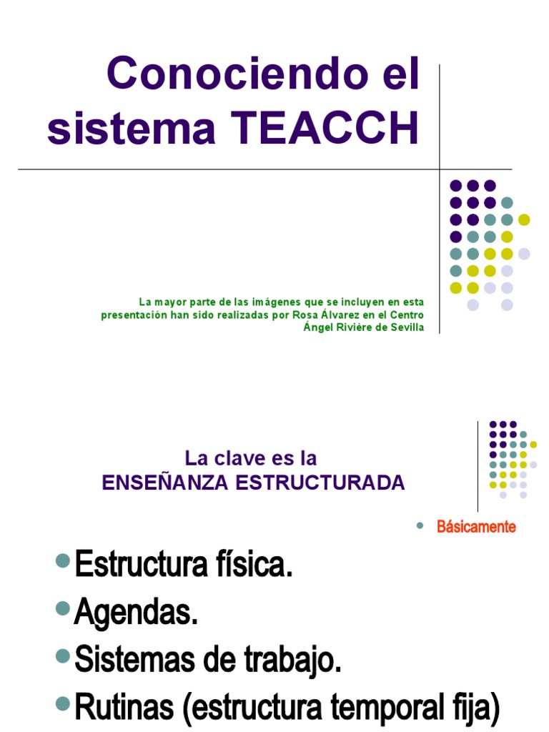TEACCH | PDF