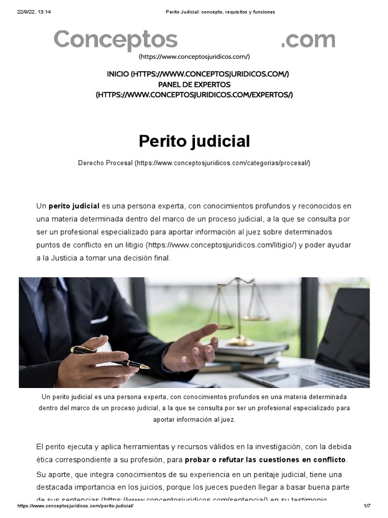 Perito Judicial - Concepto, Requisitos y Funciones | PDF | Testigo ...