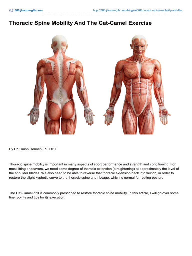 Quinn Henoch - Thoracic Spine Mobility and The Cat-Camel Exercise | PDF | Vertebral Column ...