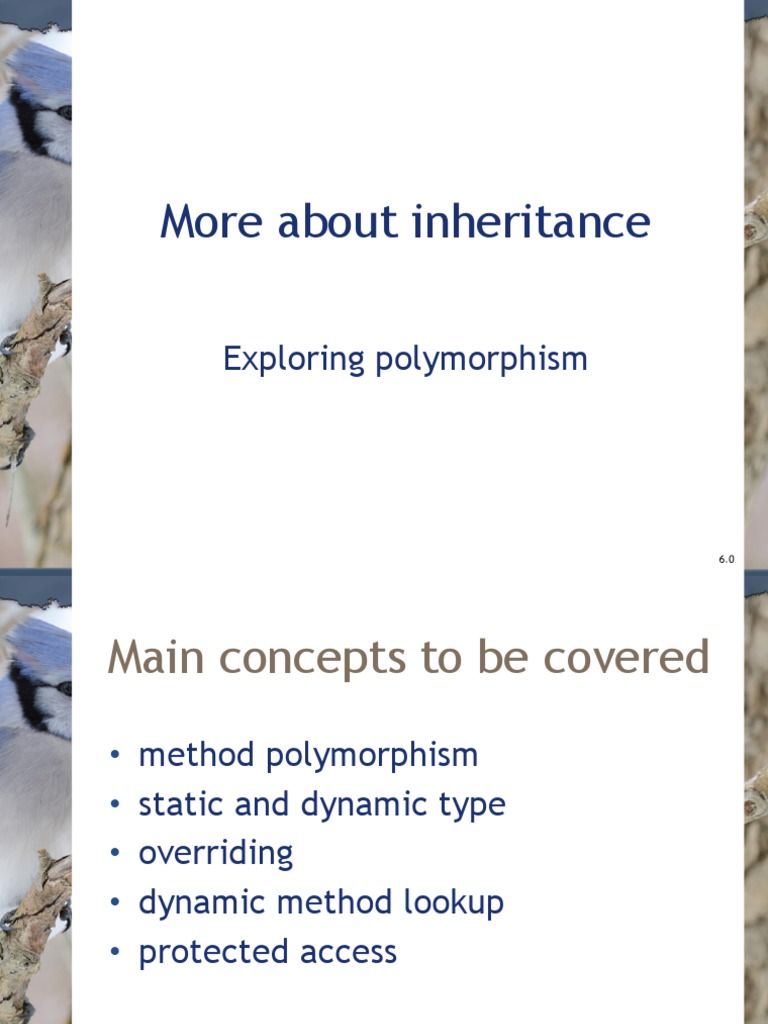 Chapter 11 | PDF | Inheritance (Object Oriented Programming) | Method (Computer Programming)