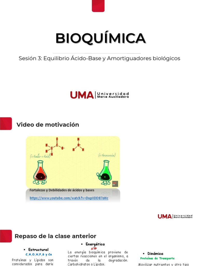 Clase 3 - Equilibrio Ácido-Base y Amortiguadores Biológicos PPT UMA LED 2023 | PDF | Ph | Ácido