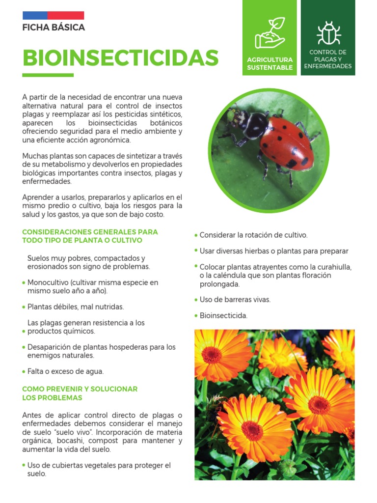 Bioinsecticidas - Argicultura Sustentable | PDF | Plaga (organismo ...