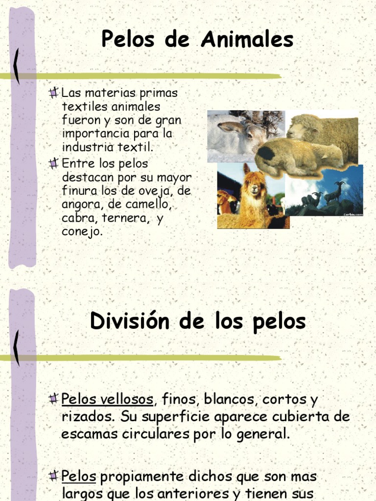 Tipos y Usos de los Pelos Animales | PDF | Lana | Textiles