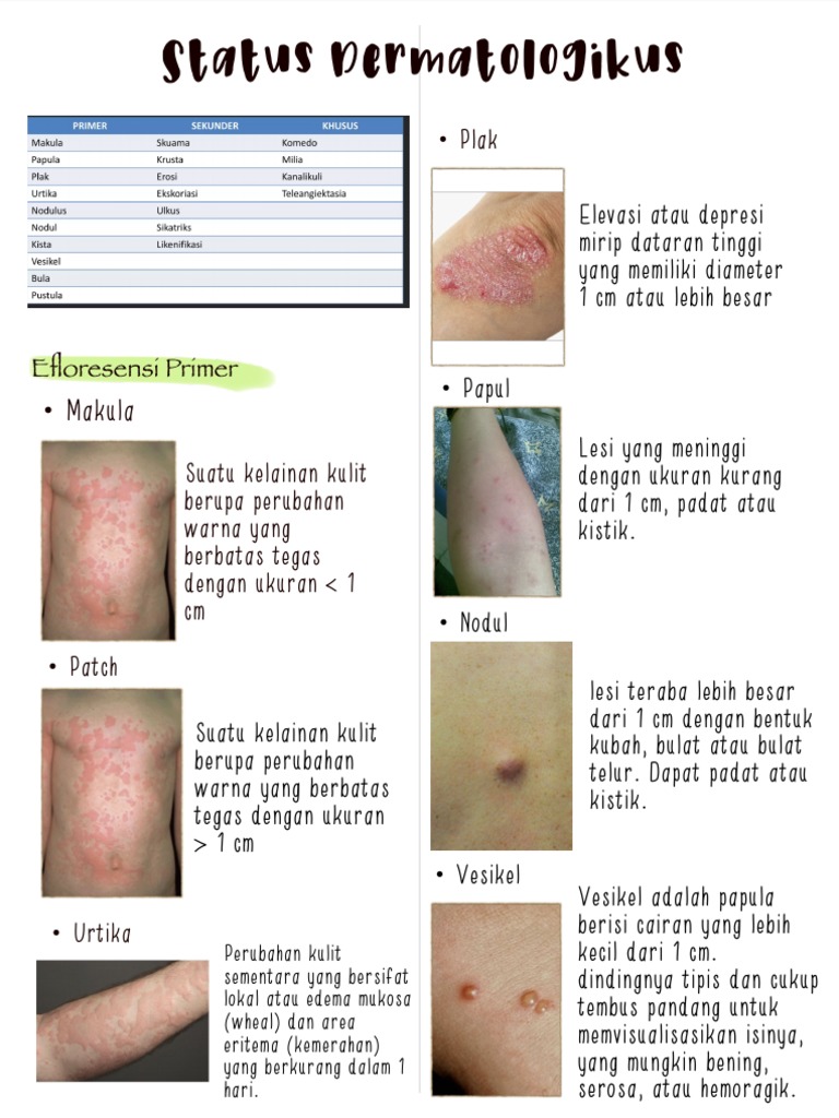 Status Dermatologikus Any | PDF