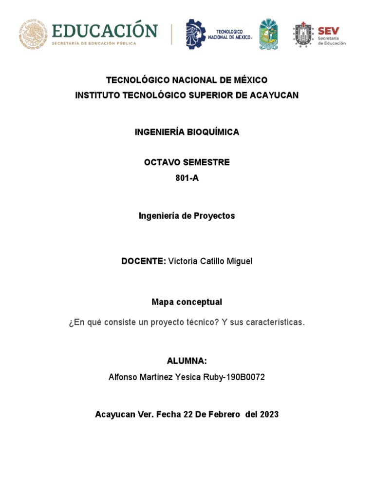En Qué Consiste Un Proyecto Técnico - Y Sus Características | PDF