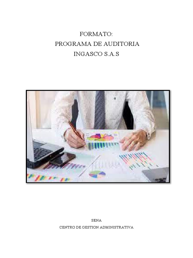 Programa de Auditoria | PDF | Auditoría | Business