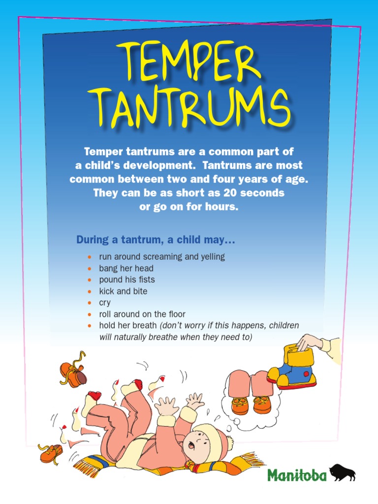 Temper | PDF | Toddler | Psychology