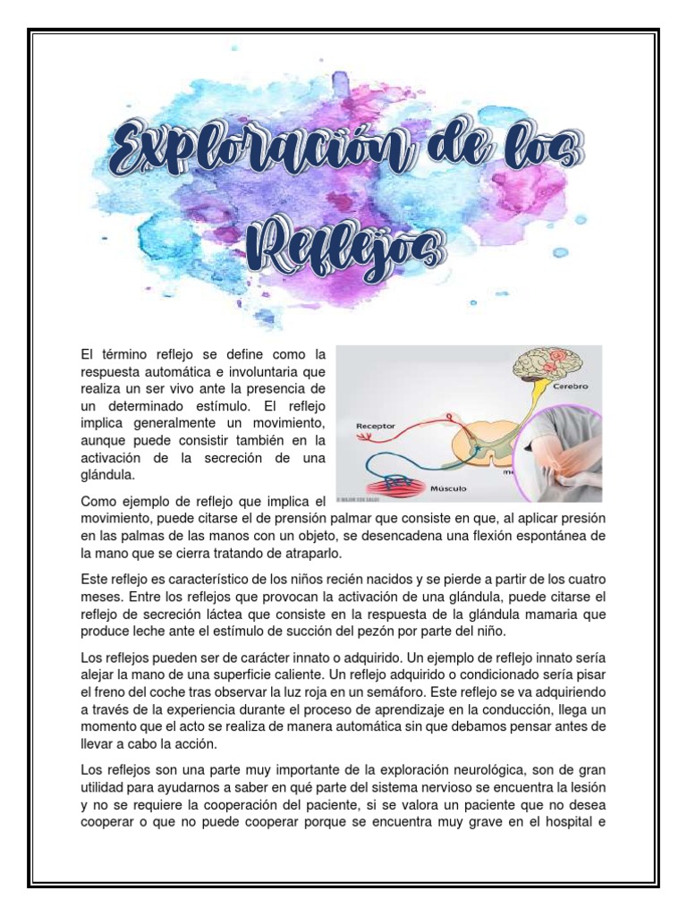 Clasificación y tipos de reflejos humanos | PDF | Fisiología | Anatomía ...