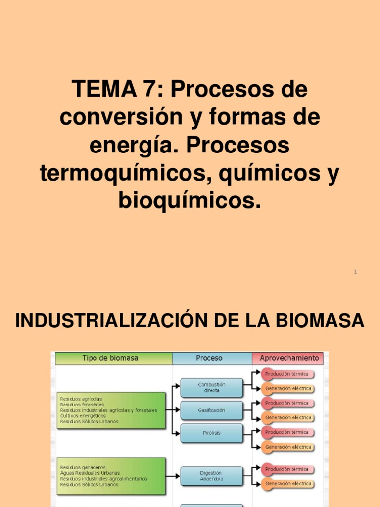 Clase 6 CONVERSION Y FORMAS ENERG PDF | PDF | Biomasa | Combustión