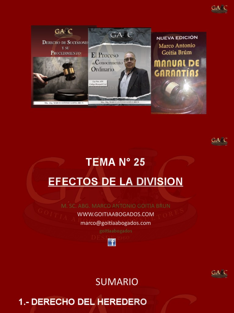 Tema 25 Efectos de La Sucesion | PDF | Herencia | Derecho civil (sistema legal)
