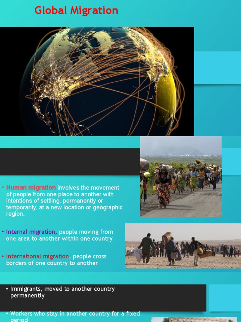 Understanding Global Migration Trends | PDF | Immigration | Human Migration