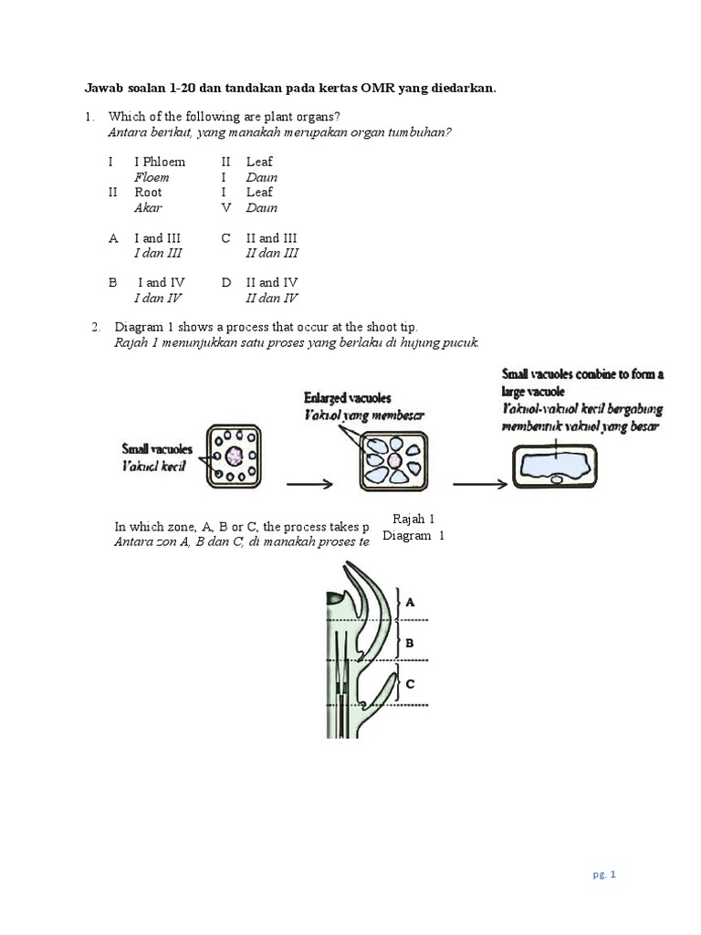 Soalan Ujian Diagnostik f5 | PDF | Leaf | Photosynthesis