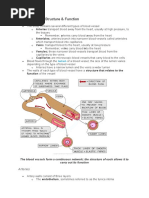 Epithelial Tissues Mnemonics | PDF | Epithelium | Organ (Anatomy)