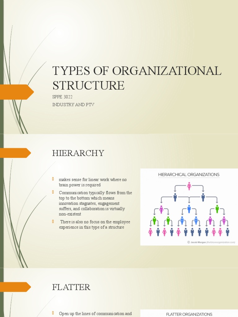 Week 3 - Types of Organizational Structure | PDF | Innovation ...