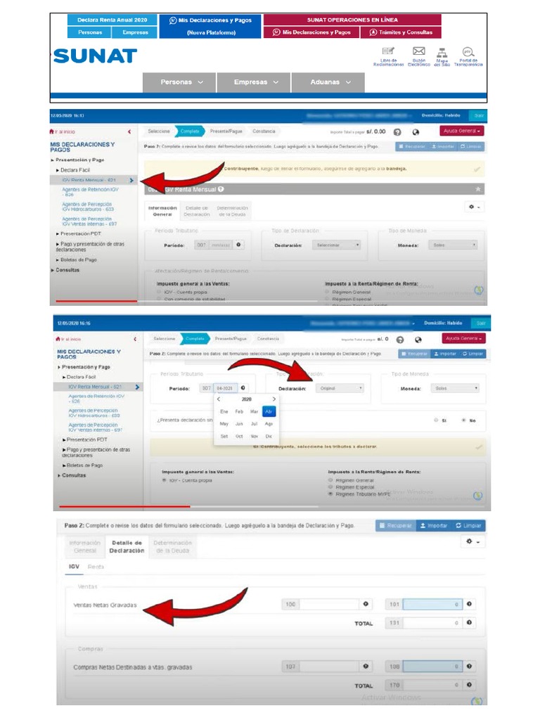 Declarar - Sunat | PDF