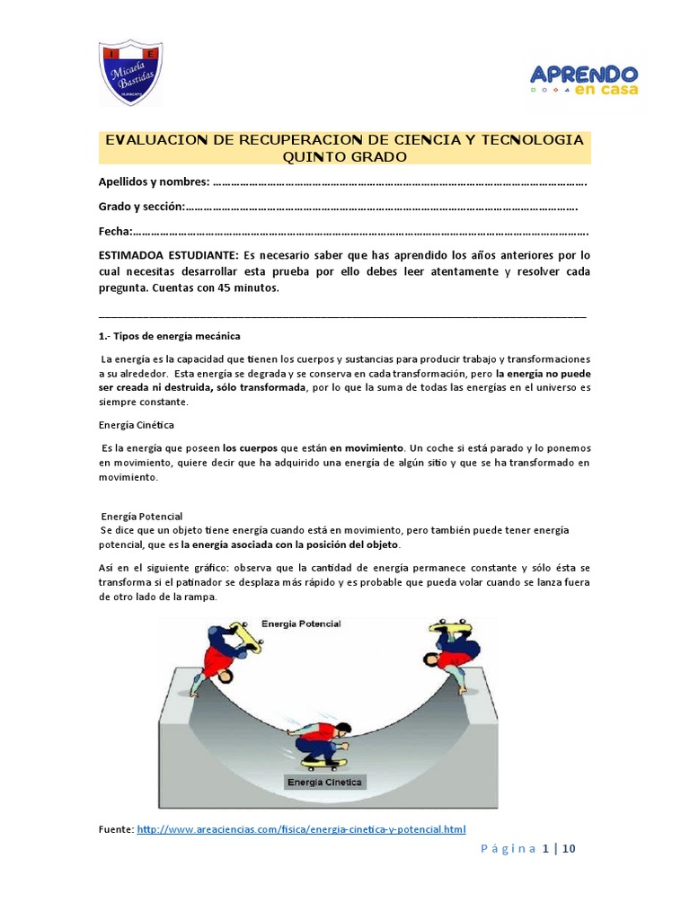 Evaluacion de Recuperacion 5° | PDF | Flores | Virus Zika