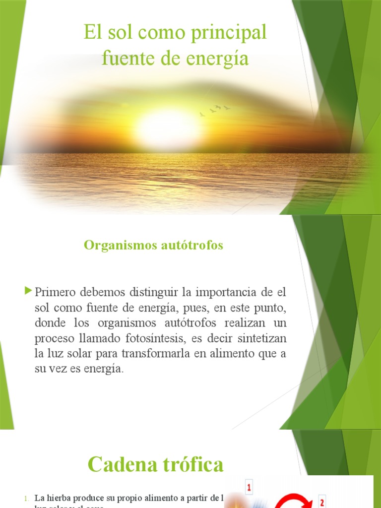El Sol Como Principal Fuente de Energía | PDF | Red alimentaria | Ecología