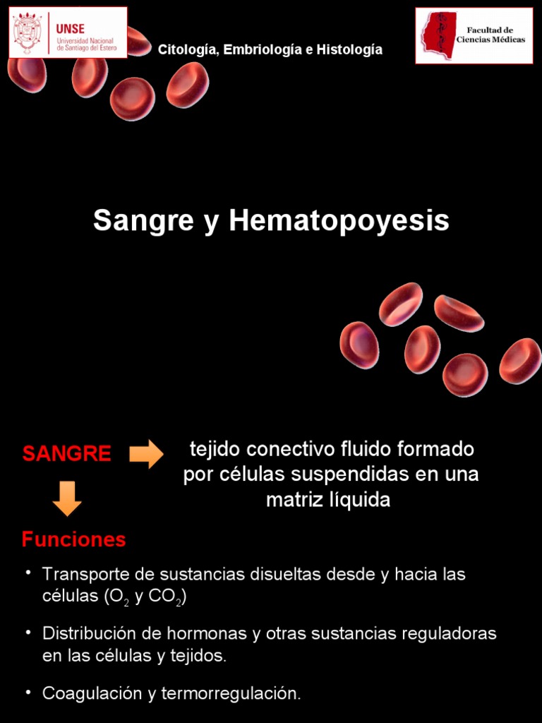 Sangre y Hematopoyesis | PDF | Sangre | Hematopoyesis