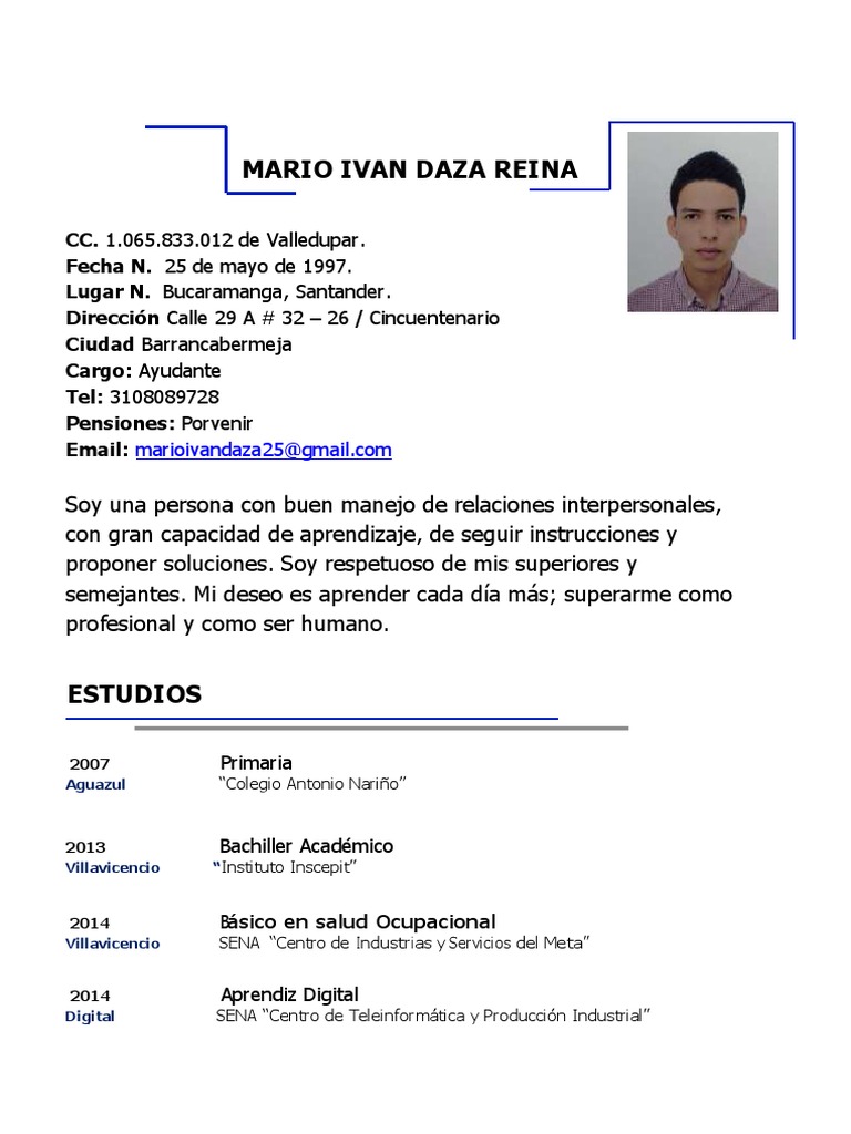 Currículum de Mario Iván Daza Reina | PDF
