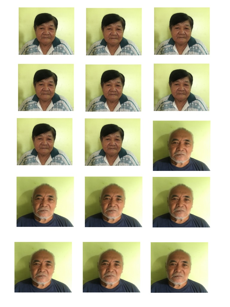 2x2 Pic Template | PDF