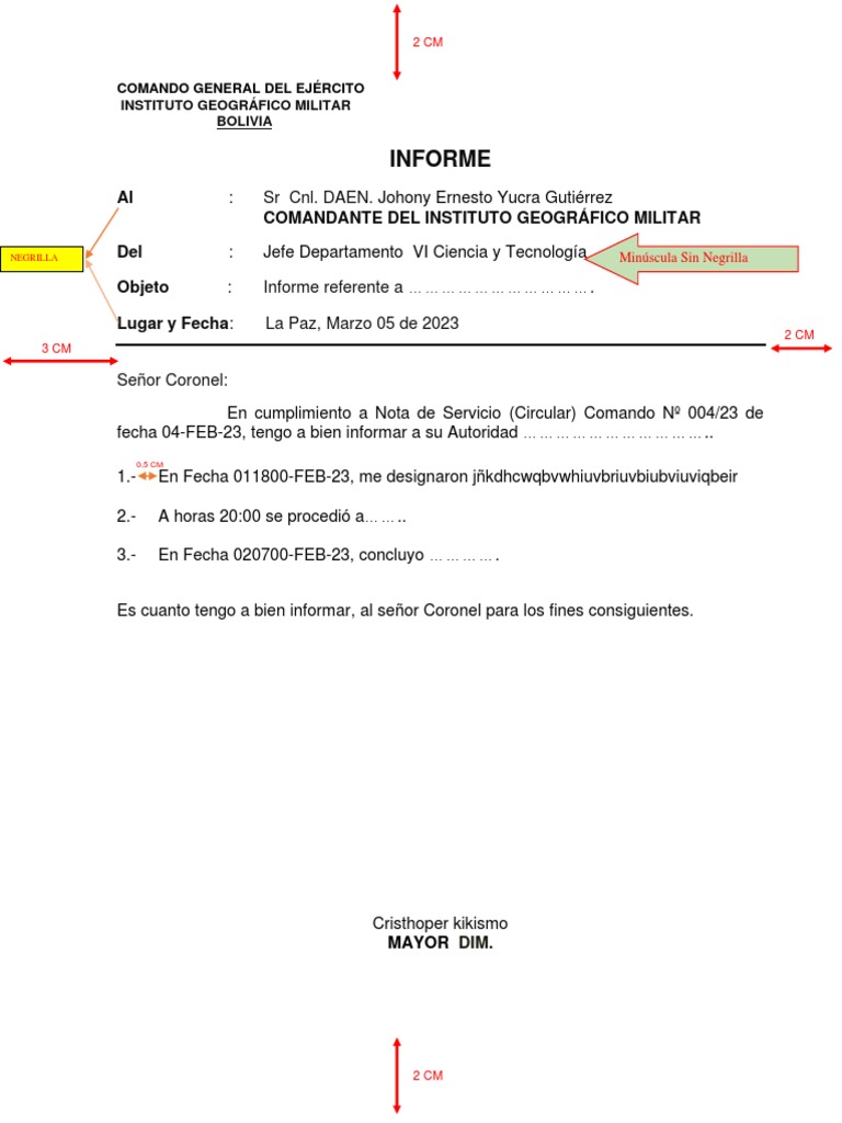 Modelo Informe | PDF