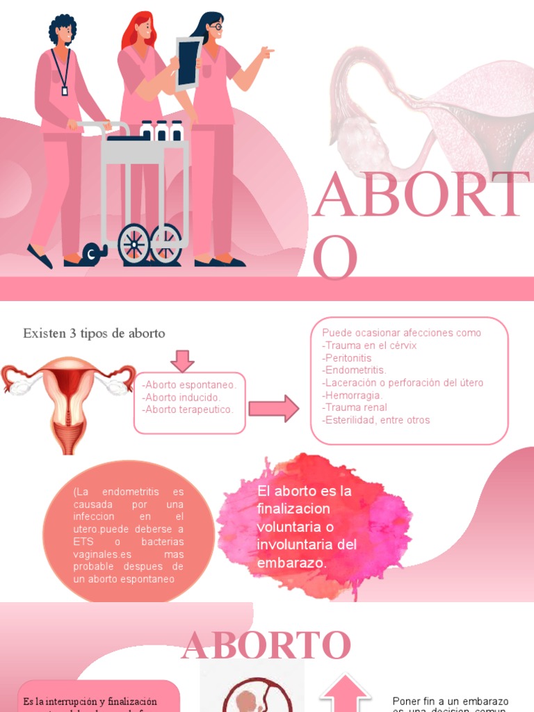 El Aborto | PDF | El embarazo | Aborto