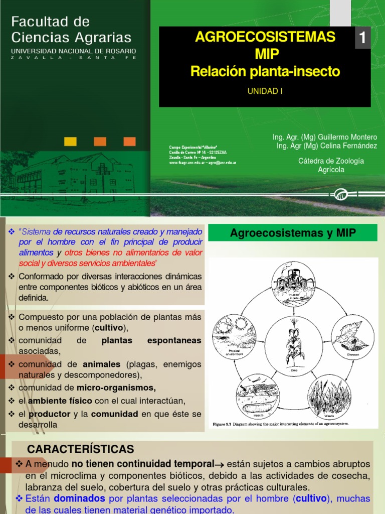 Agroecosistemas MIP Umbrales PDF | PDF | Plaga (organismo) | Agricultura