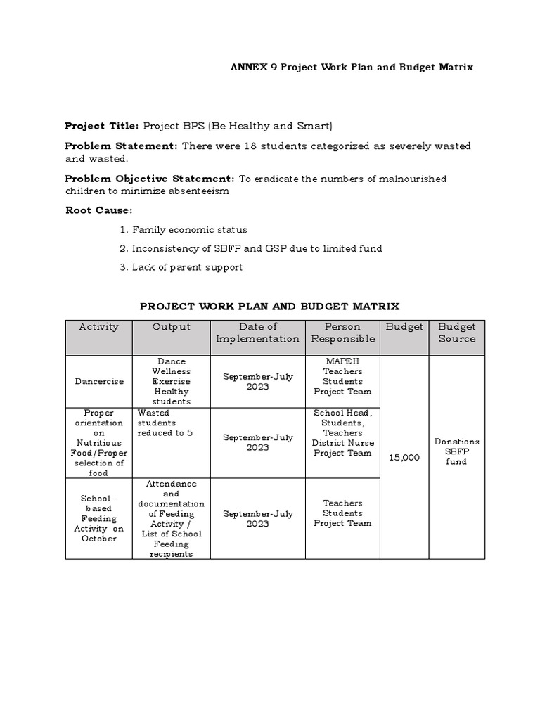 ANNEX 9 Project Work Plan and Budget Matrix PROJECT BHS | PDF