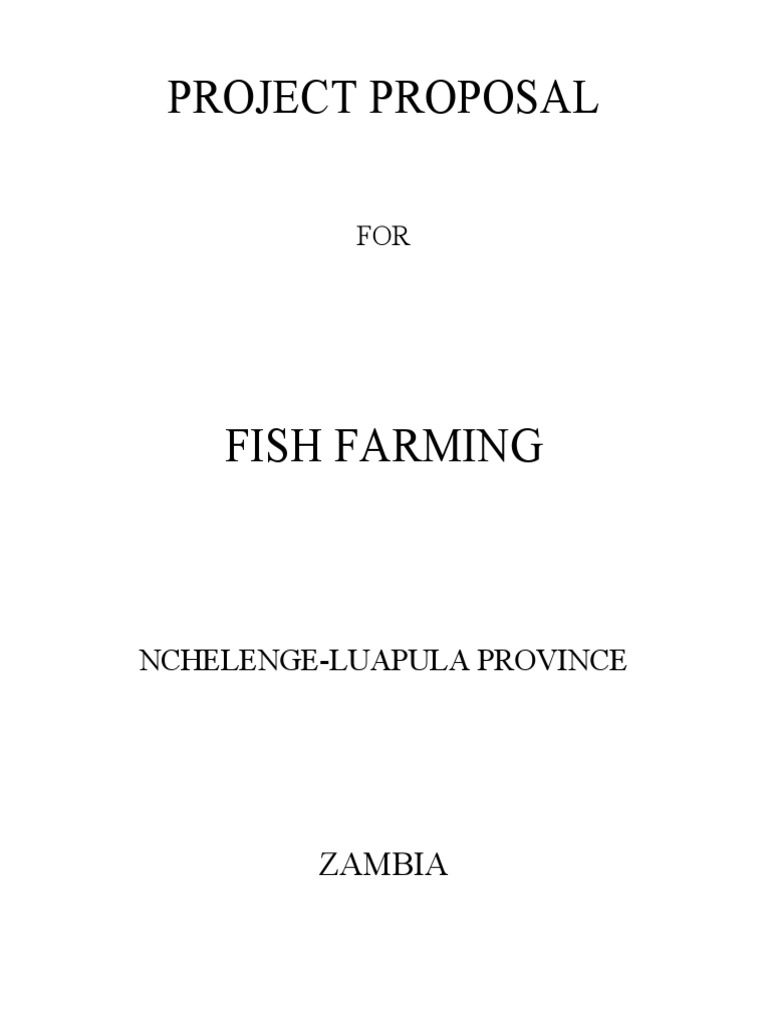 General Proposal Edited | Download Free PDF | Banks | Economies