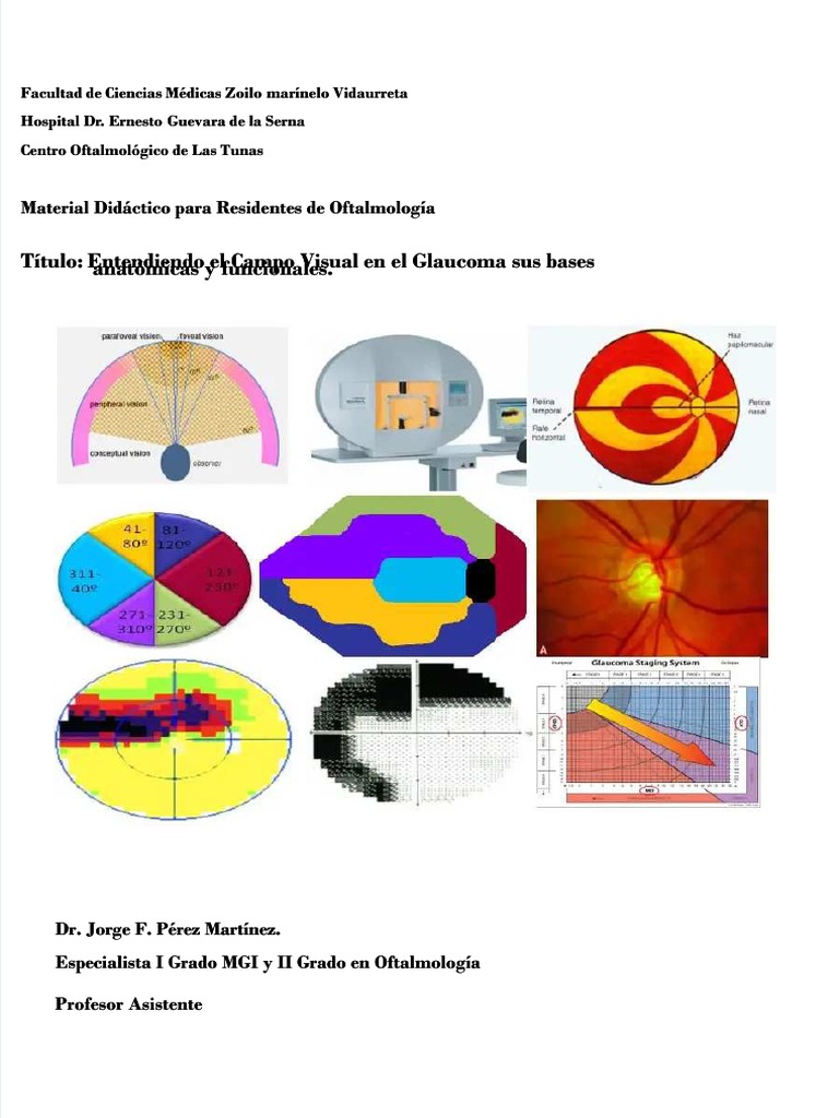 PDF Campo Visual - Compress PDF | PDF | Percepción visual | Glaucoma