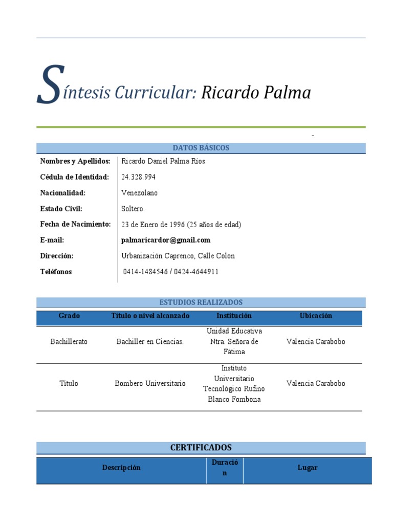 CV Ricardo Palma | PDF