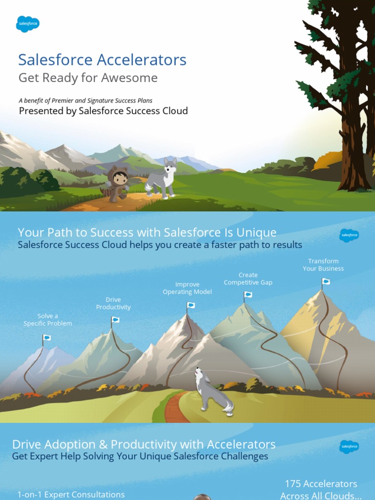 Salesforce Accelerators Overview Guide | PDF | Cloud Computing | Computing