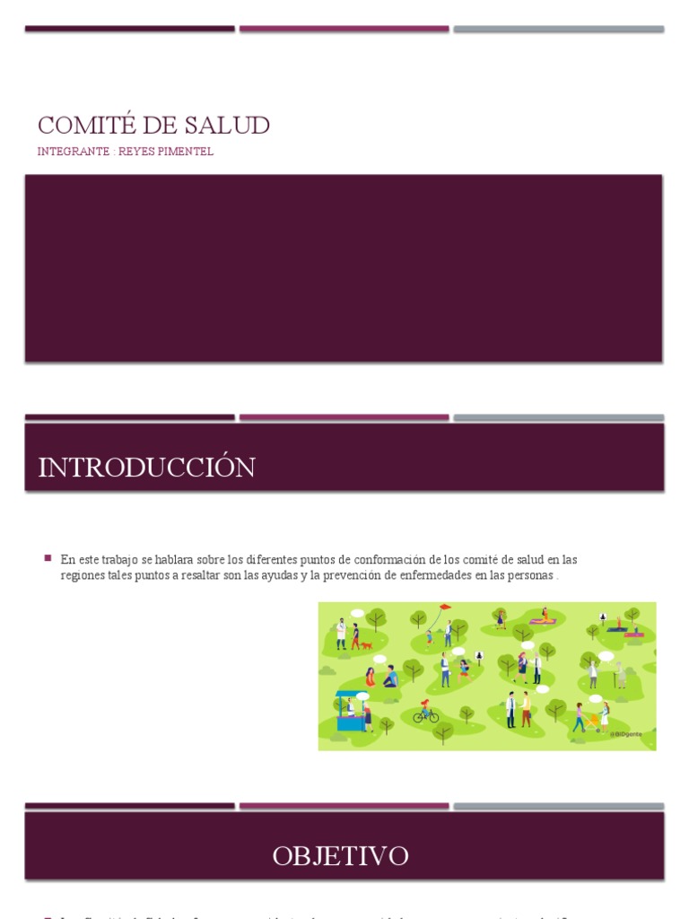 Comité de Salud | PDF