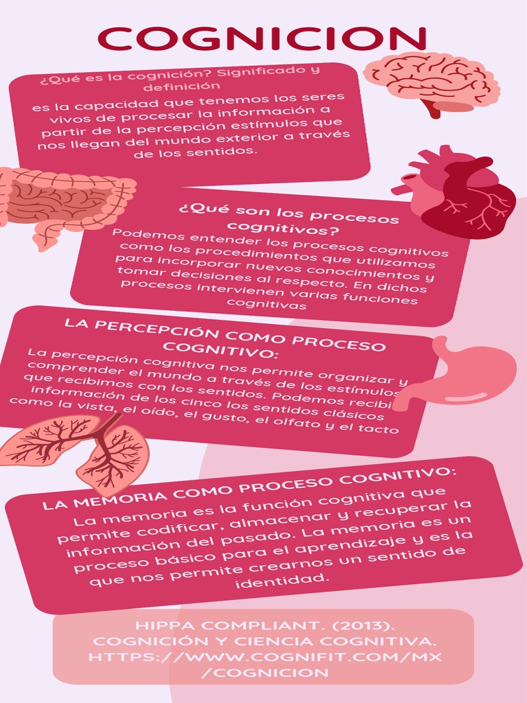 Cognición y Percepción: Procesos Clave | PDF