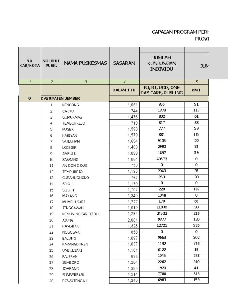 Capaian Program Perkesmas Untuk Mendukung Pis-Pk Provinsi Jawa Timur | PDF