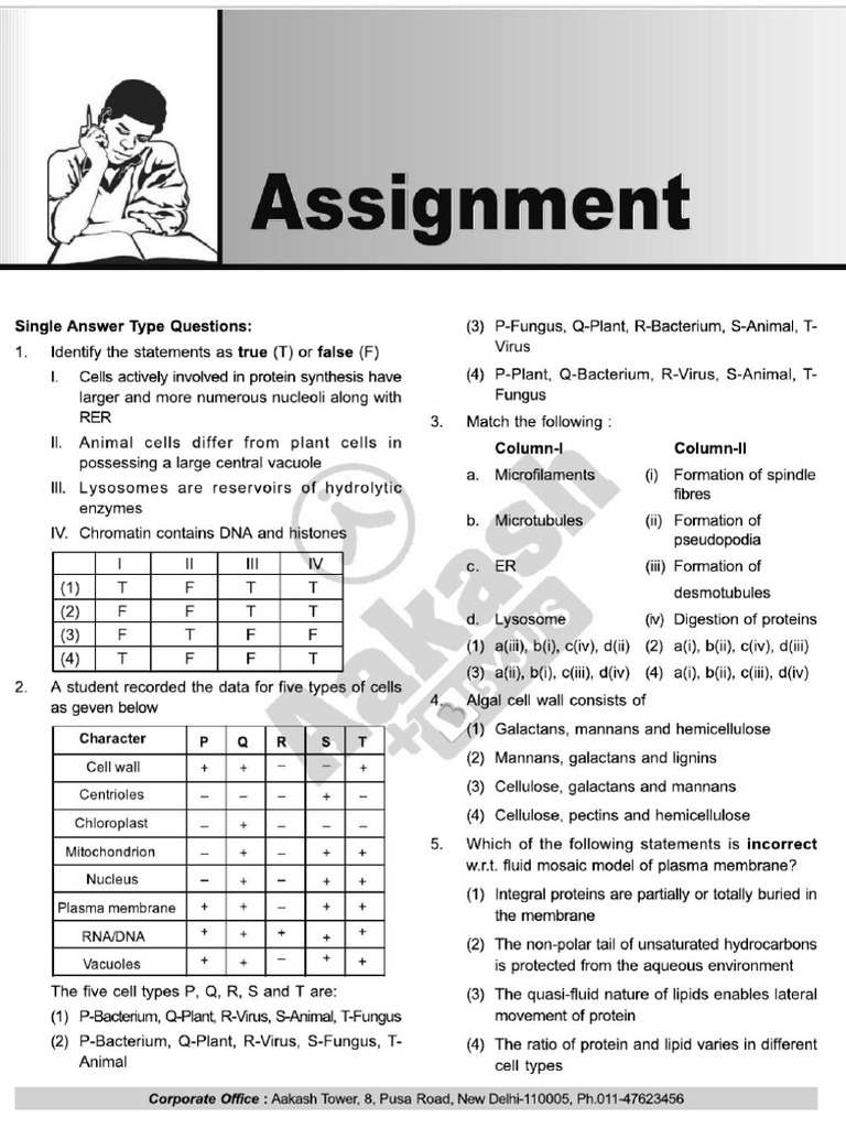 NSEJS Questions PDF | PDF