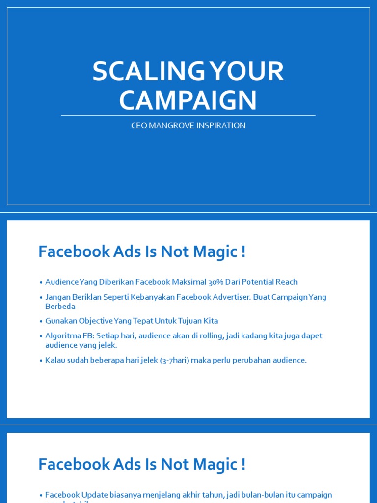 FB Ads Scaling | PDF
