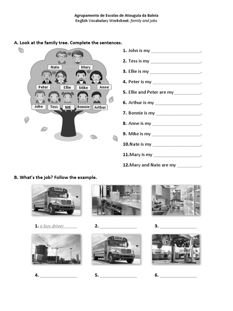 Family and Jobs Vocabulary Worksheet | PDF