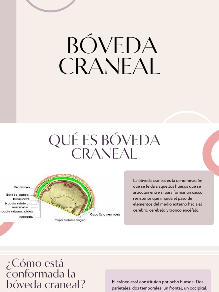 Boveda Craneal PDF | PDF