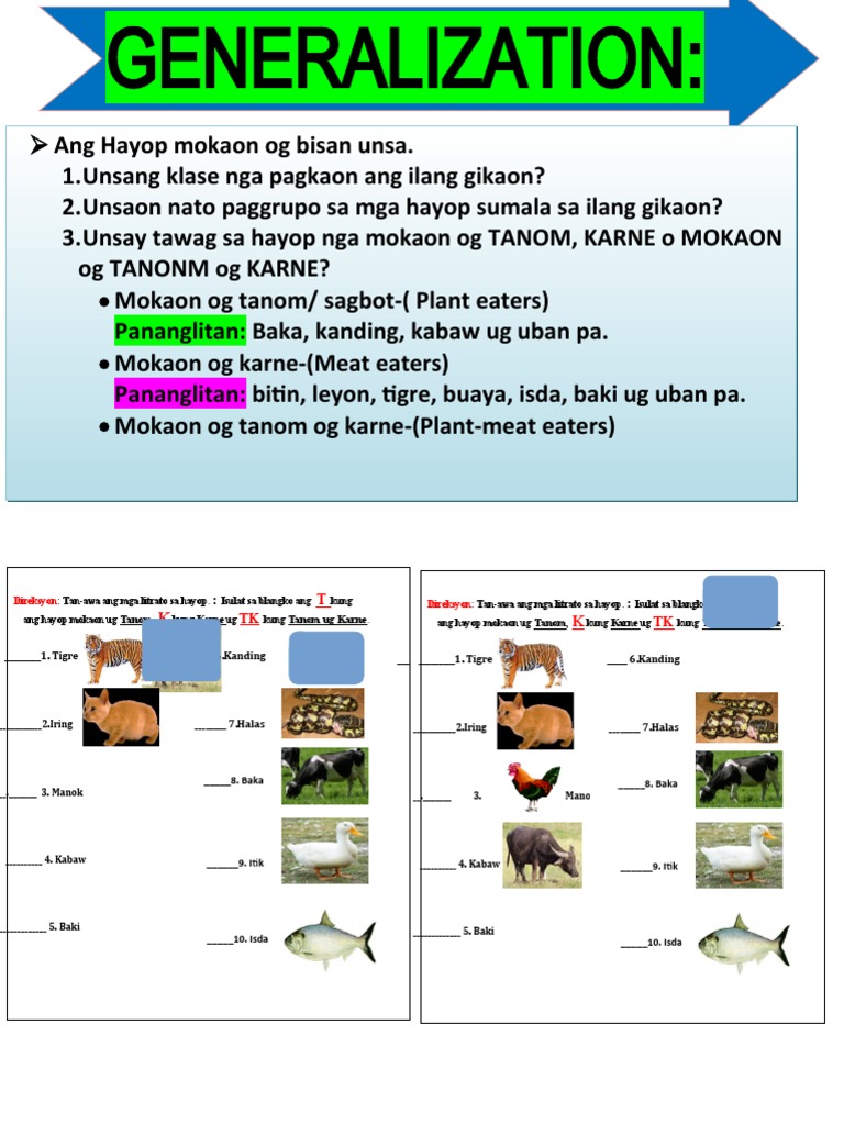 Evaluation Science Demo | PDF