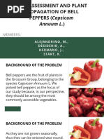 Single Seed Descent Method | PDF | Plant Breeding | Dominance (Genetics)